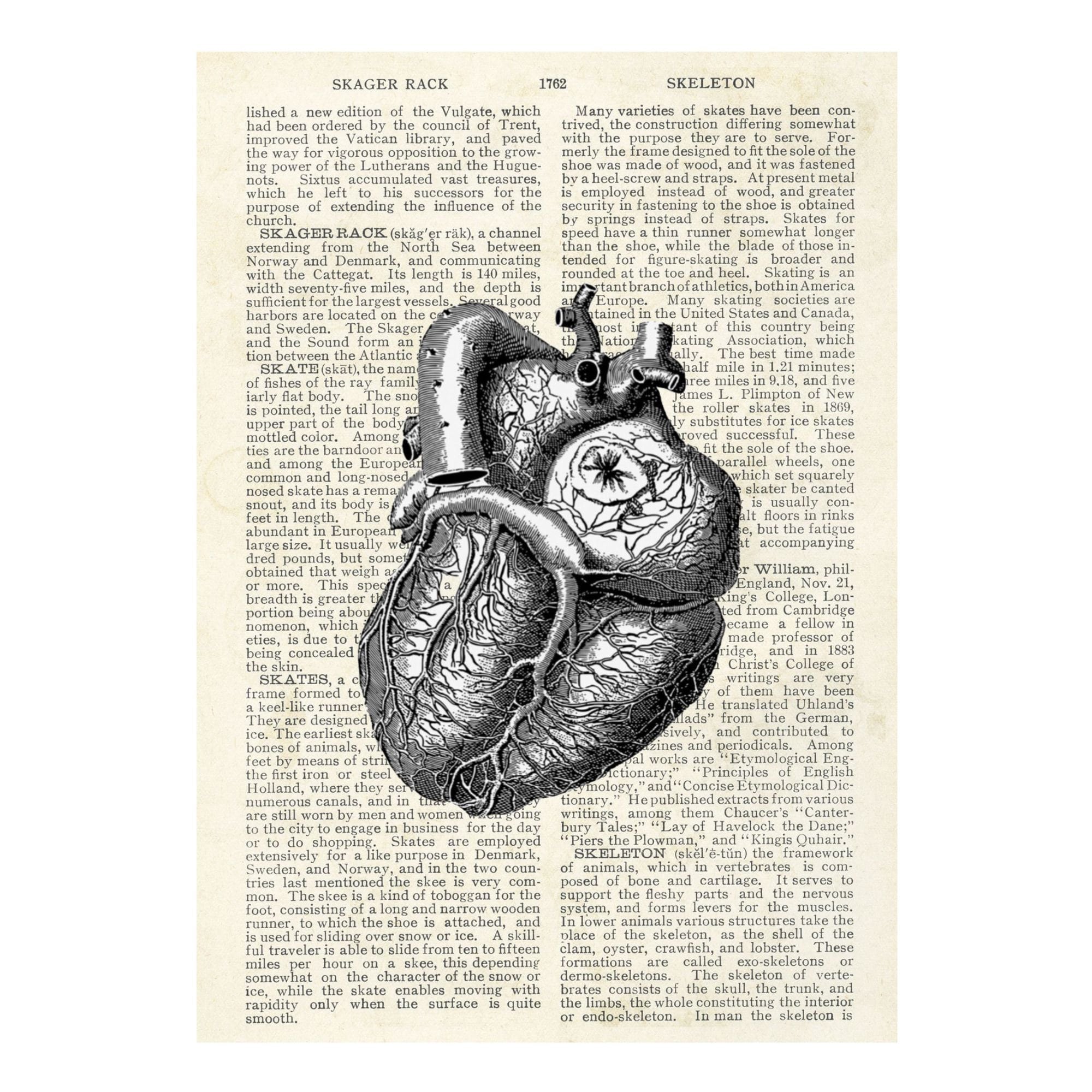 Coronary Anatomy Old Book Page Art, Anatomical Heart Print, Anatomy ...