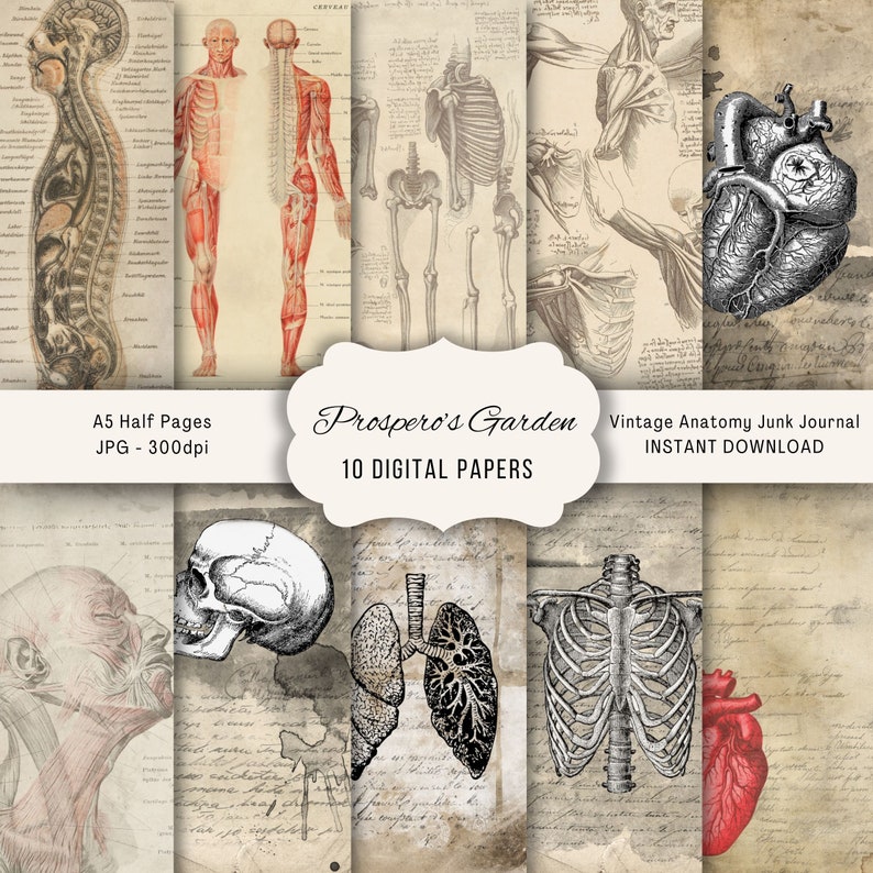 Vintage Anatomy Dark Academia Junk Journal Pages for Journalling ...
