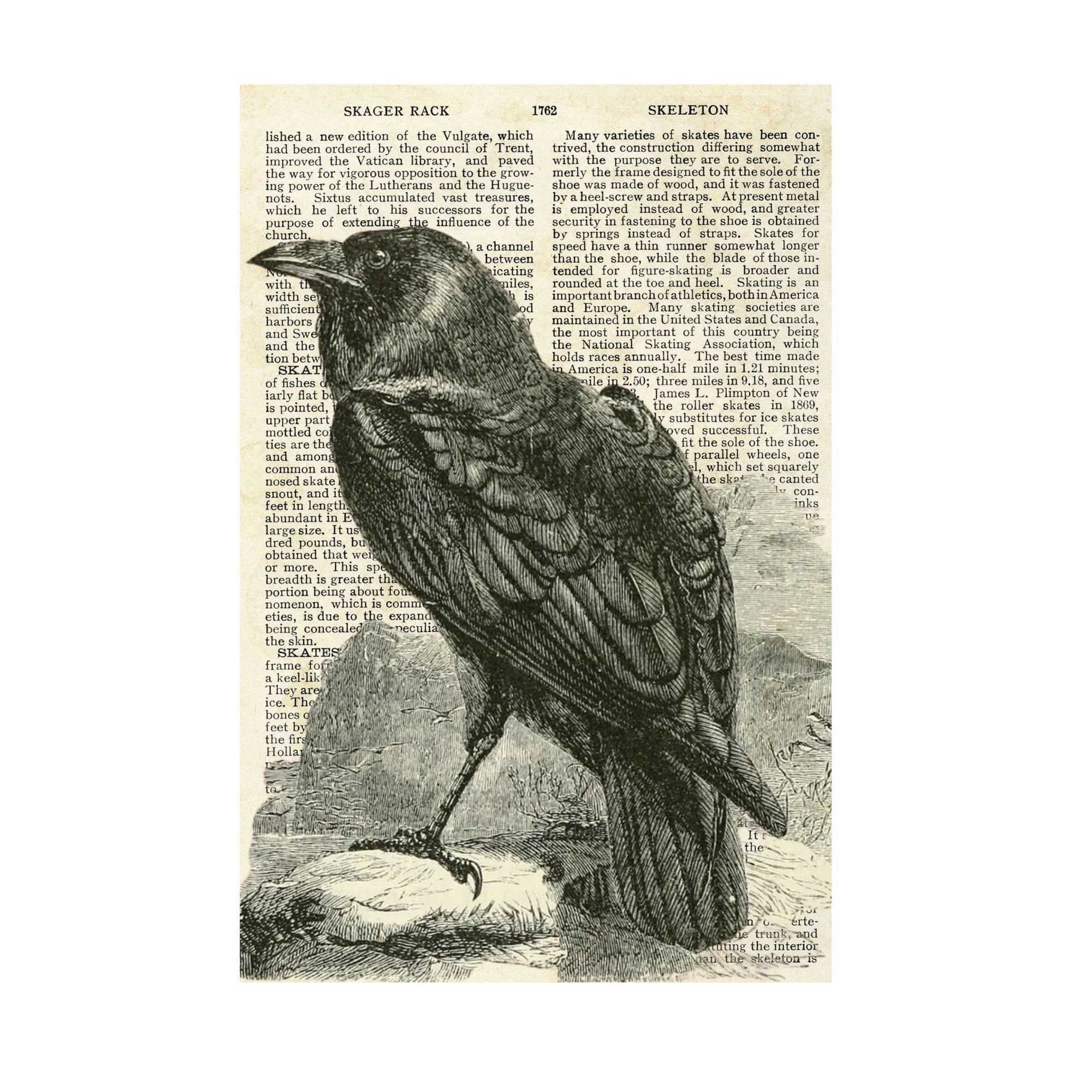 Vintage Crow Book Print, Vintage Style Crow Download, Crow Illustration ...