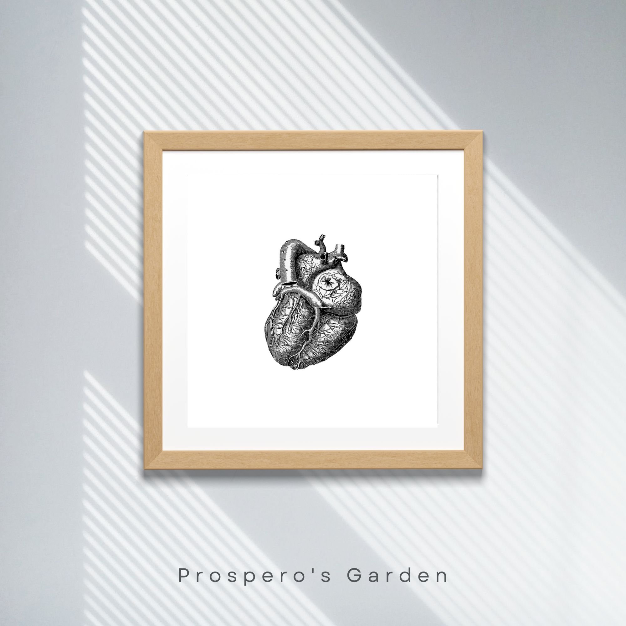 Coronary Anatomy Poster of the Heart, Vintage Anatomical Heart Print ...