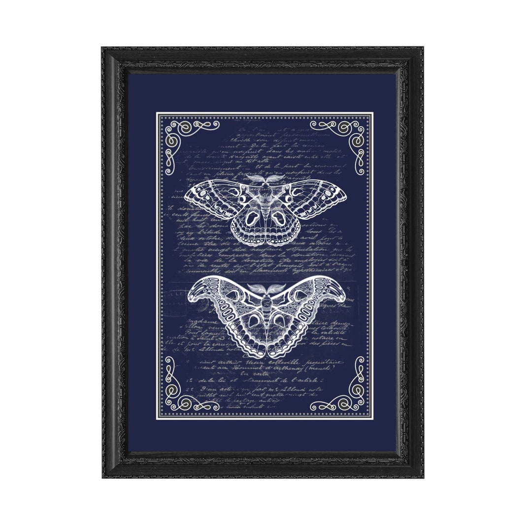 Vintage Moth Print, Two White Moths Specimen Art, Moth Illustration ...