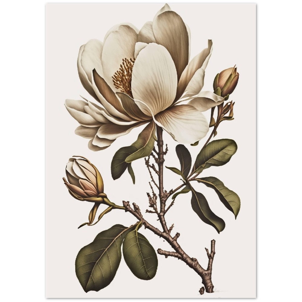 Magnolia Flower, Vintage Posters, Botanical Flowers, Minimalist Art ...