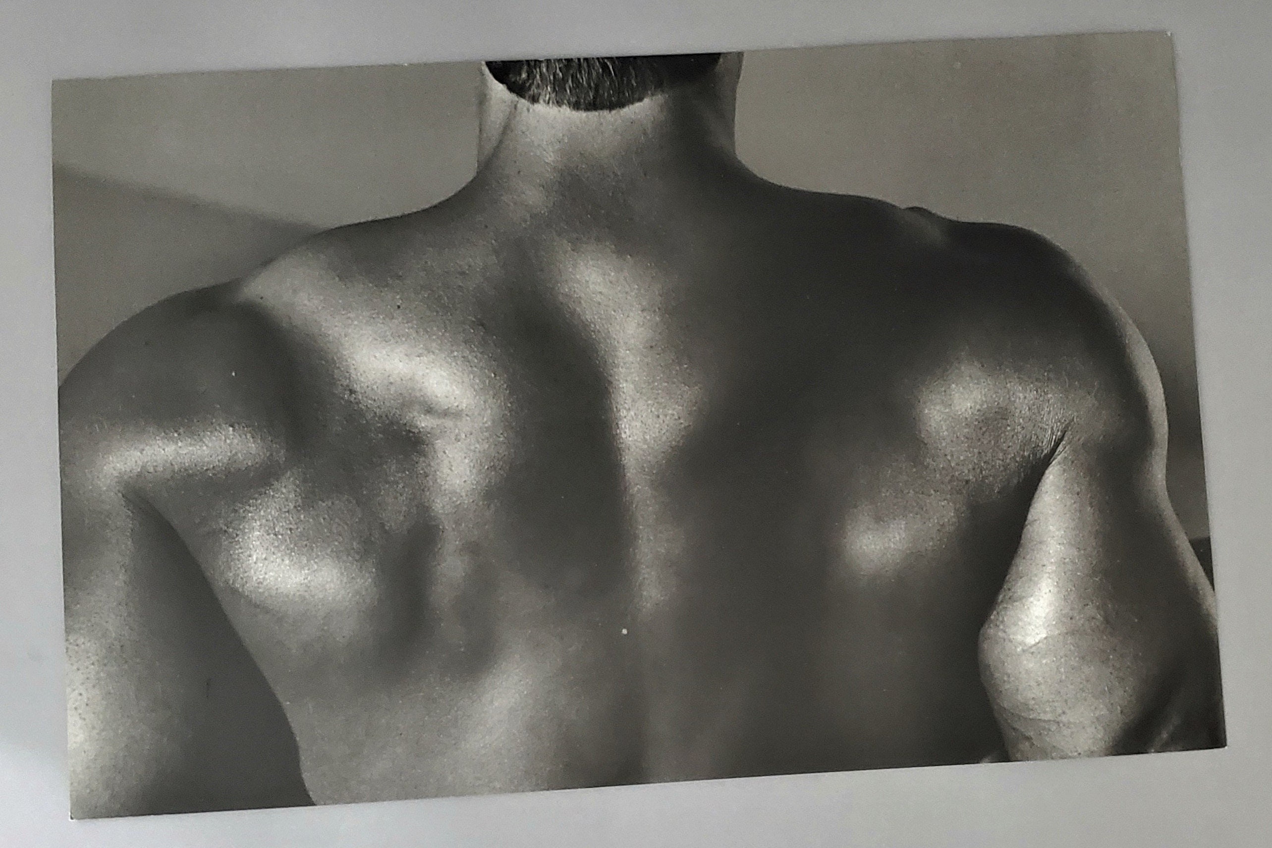 Herb Ritts Vintage Print Gay Muscle Male Gym Decor - Etsy