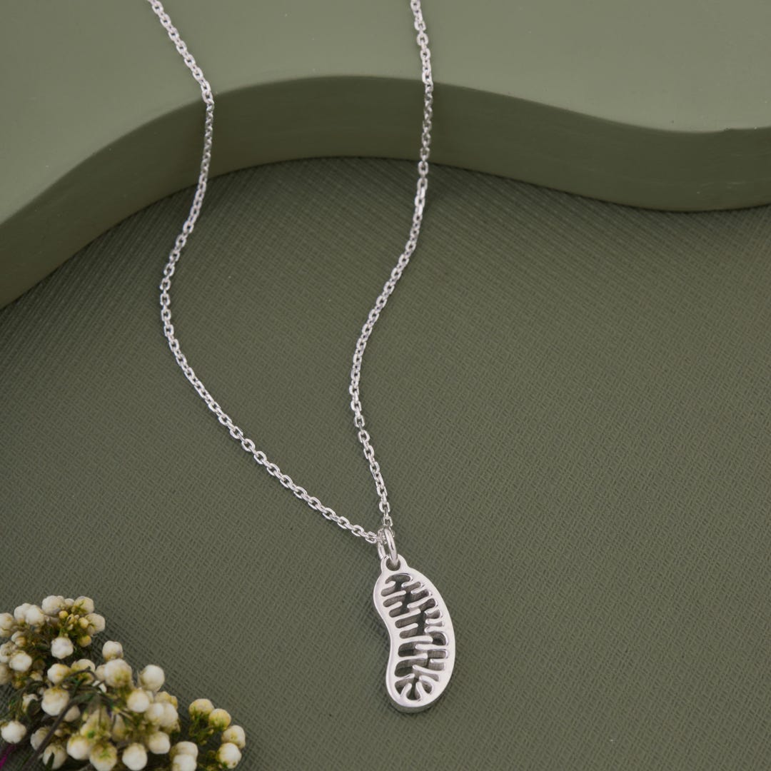 Kidney Anatomy Silver Pendant With Chain and Custom Text Charm Hand Cut ...