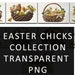 Easter Chicks Collection - Etsy