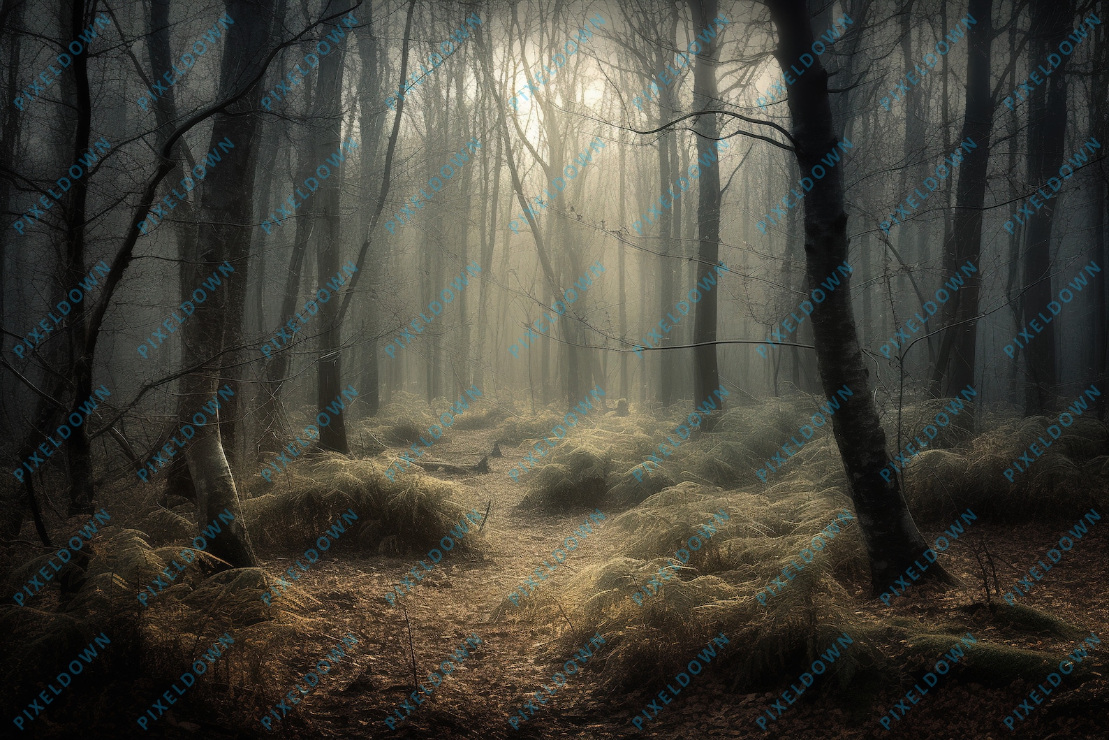 16 Haunted Forrest Backdrops - Etsy