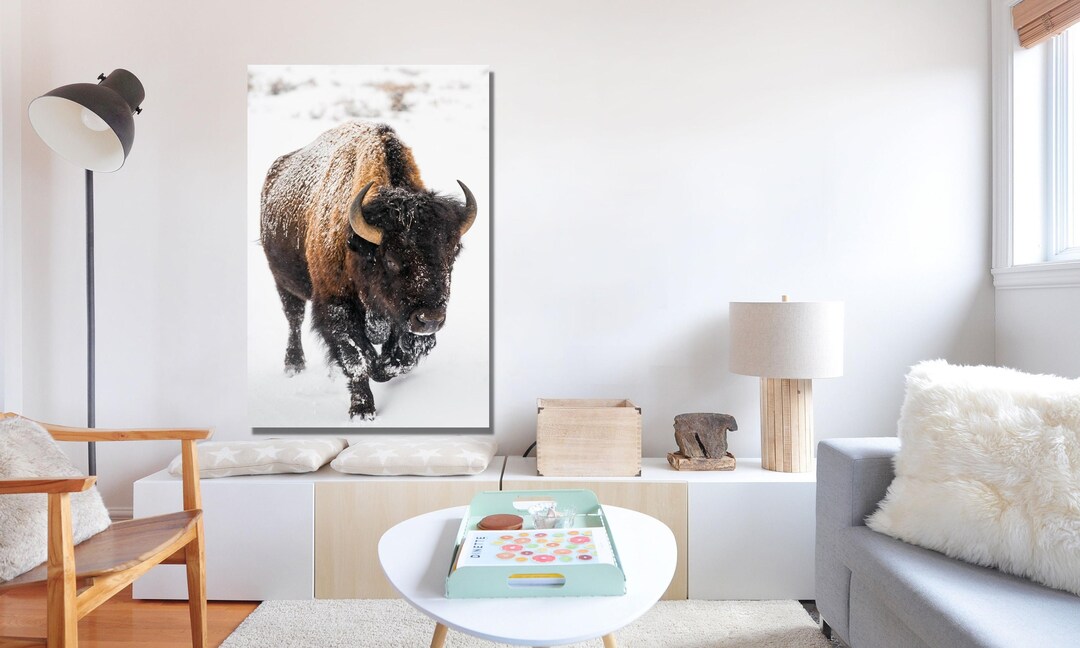 American Buffalo in Snow Original Pictures Art, Buffalo Canvas Home ...