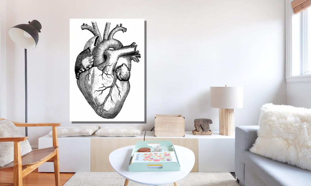 Vintage Anatomical Printable Poster Medical Decor Human Anatomical ...