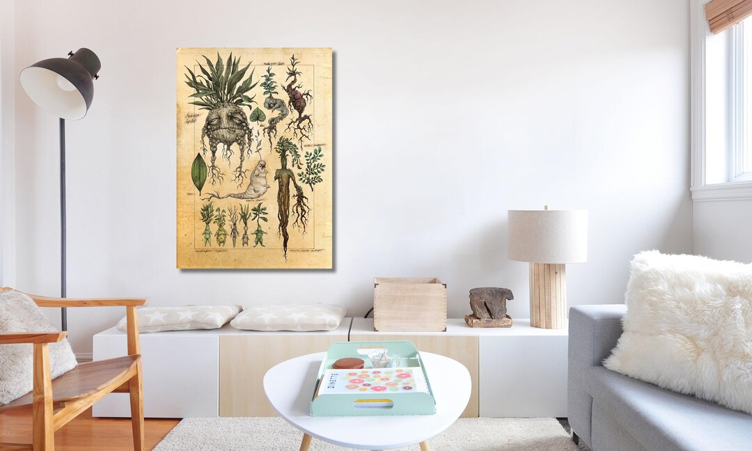 Herbology Medicinal Plant Canvas Wall Art,magic Botanical Canvas Print ...