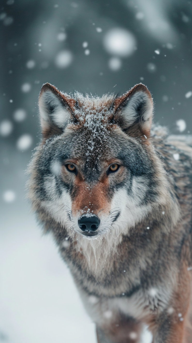 4K Wolf in Snow Wallpaper: Ultra Detailed Iphone/android Lock Screen - Etsy