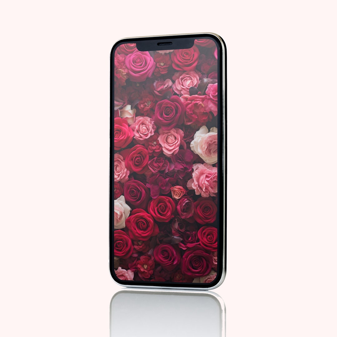 4K | Rose Wall - Background Wallpaper Smartphones - Iphone, Samsung ...