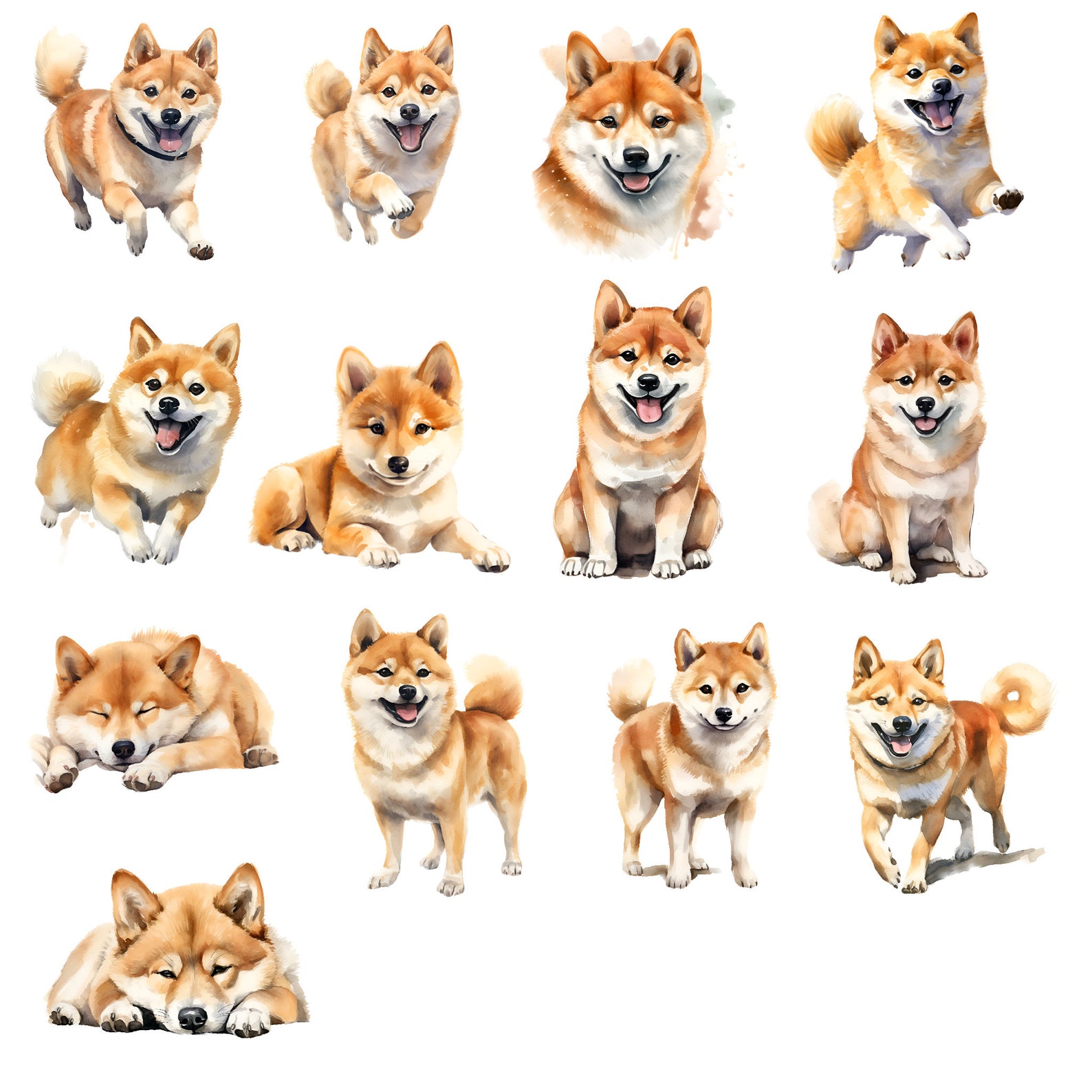 Shiba Inu Dog Watercolor Clipart, Shiba Inu Clipart, Set of Digital PNG ...