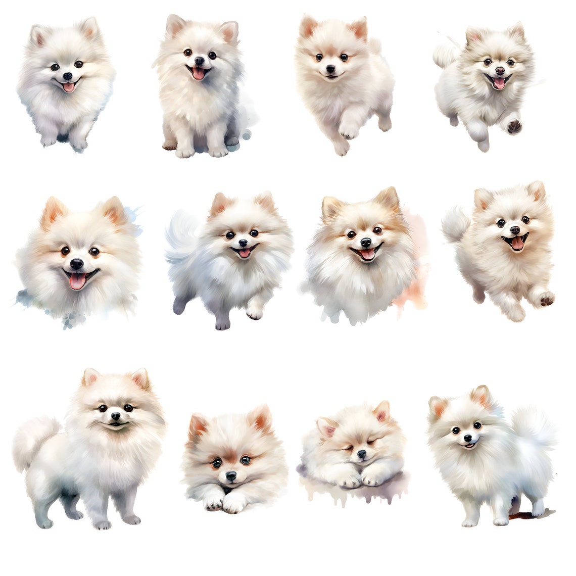 Spitz Dog Watercolor Clipart, Spitz Clipart, Set of Digital PNG ...