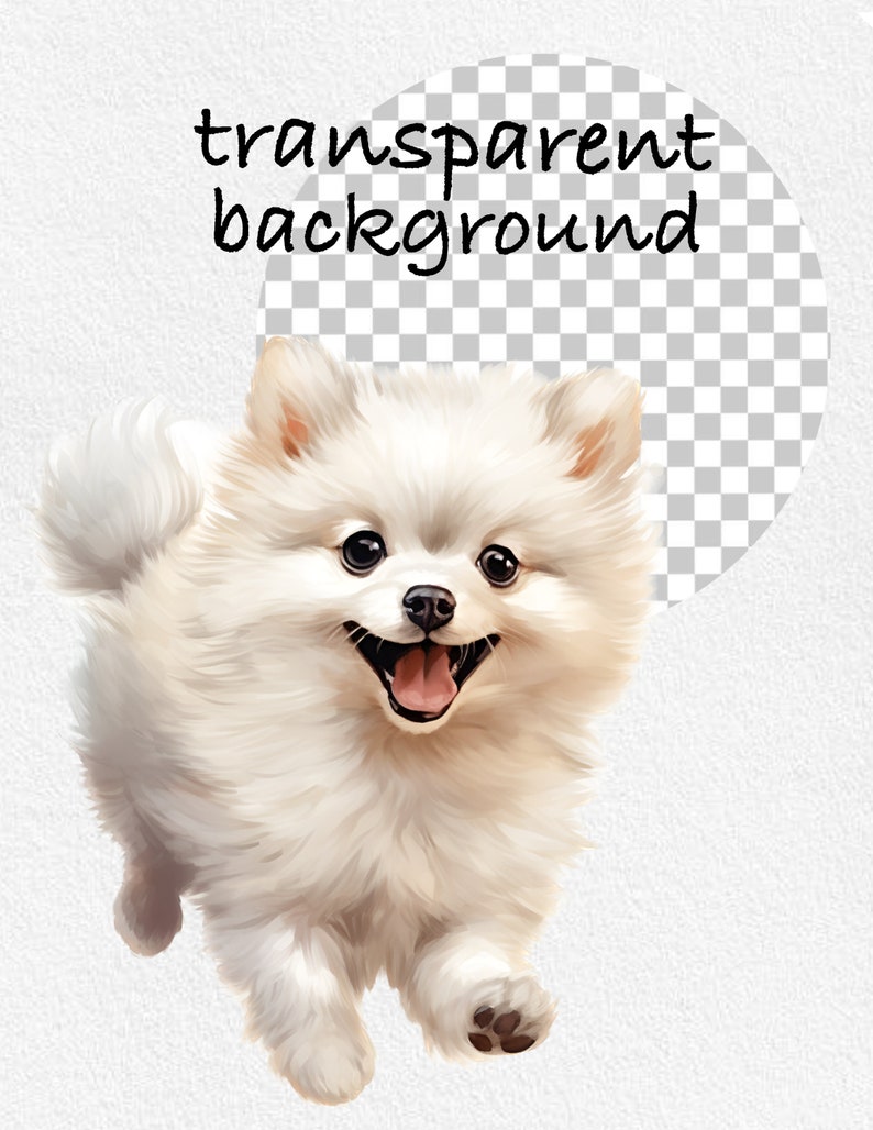 Spitz Dog Watercolor Clipart, Spitz Clipart, Set of Digital PNG ...