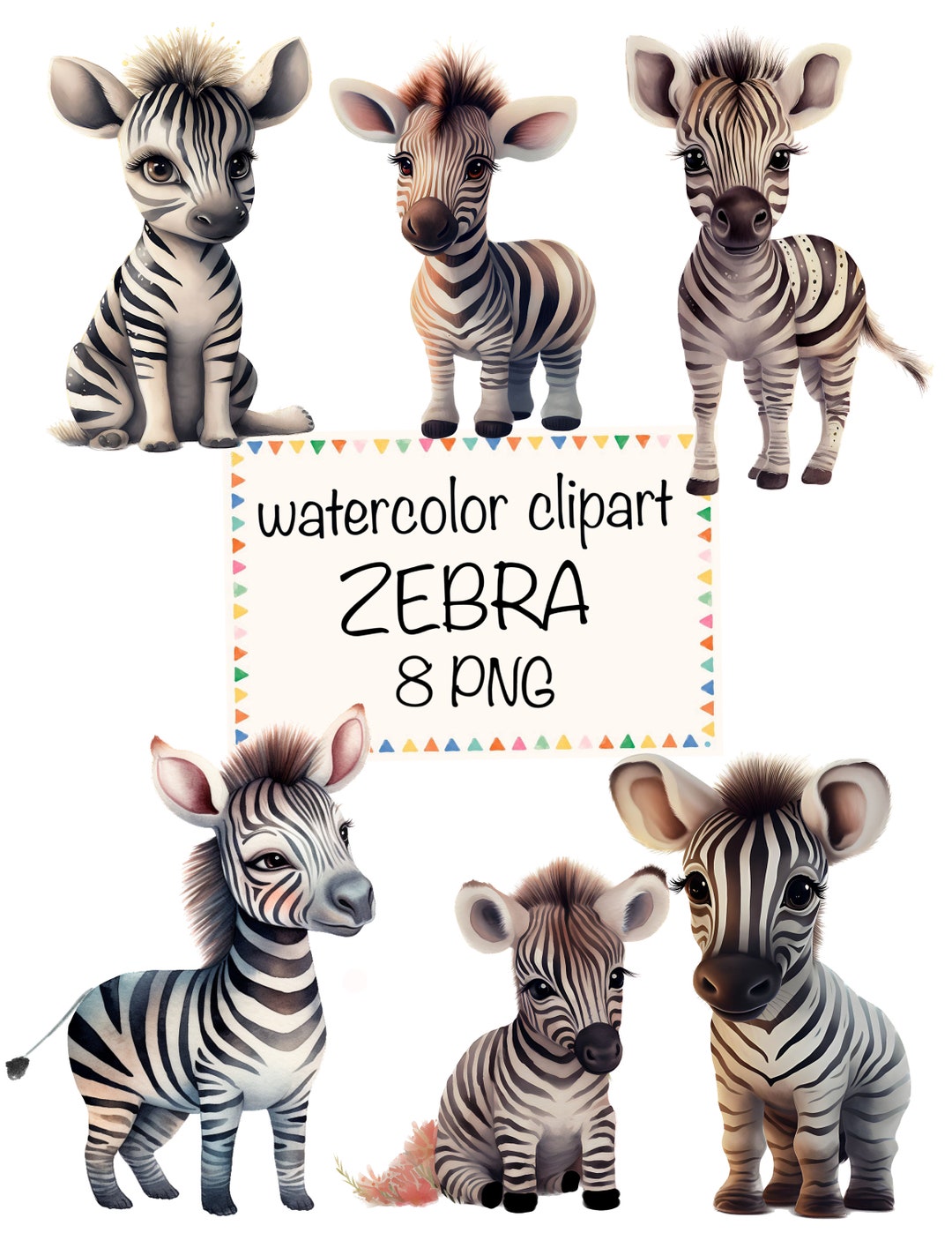 Zebras Watercolor Clipart Safari Animals Clipart Set of - Etsy