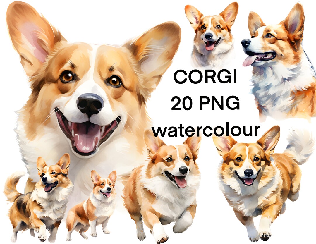 Corgis Watercolor Clipart Corgi Clipart Set of Digital PNG - Etsy