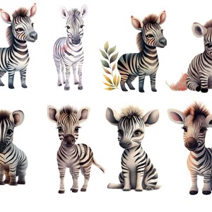 Zebras Watercolor Clipart, Safari Animals Clipart, Set of Digital PNG ...