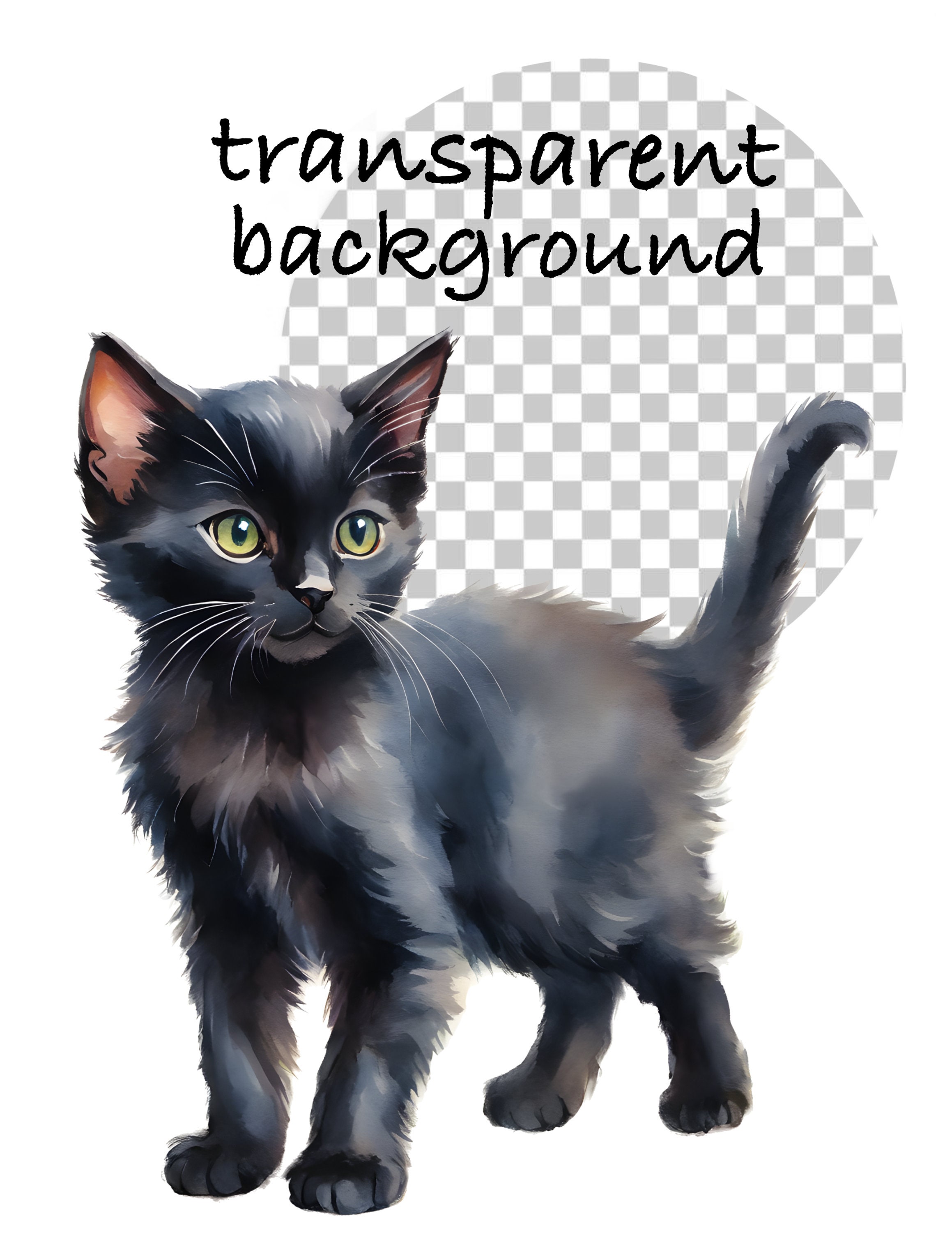 Cats Watercolor Clipart Domestic Cats Clipart Set of Digital - Etsy