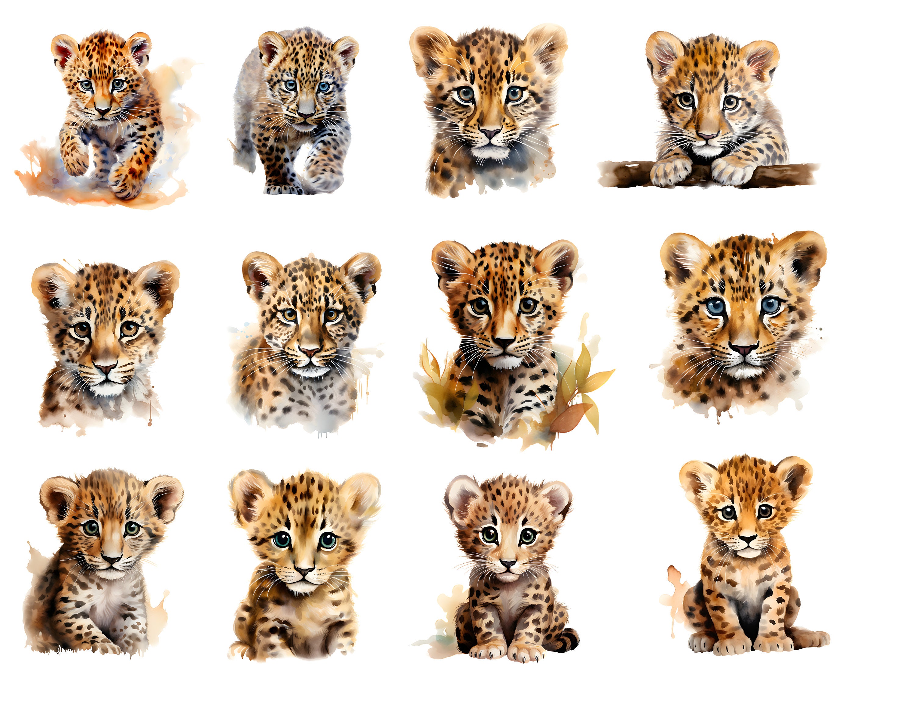 Leopard Watercolor Clipart, Safari Animals Clipart, Set of Digital PNG ...