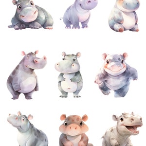 Hippos Watercolor Clipart, Safari Animals Clipart, Set of Digital PNG ...