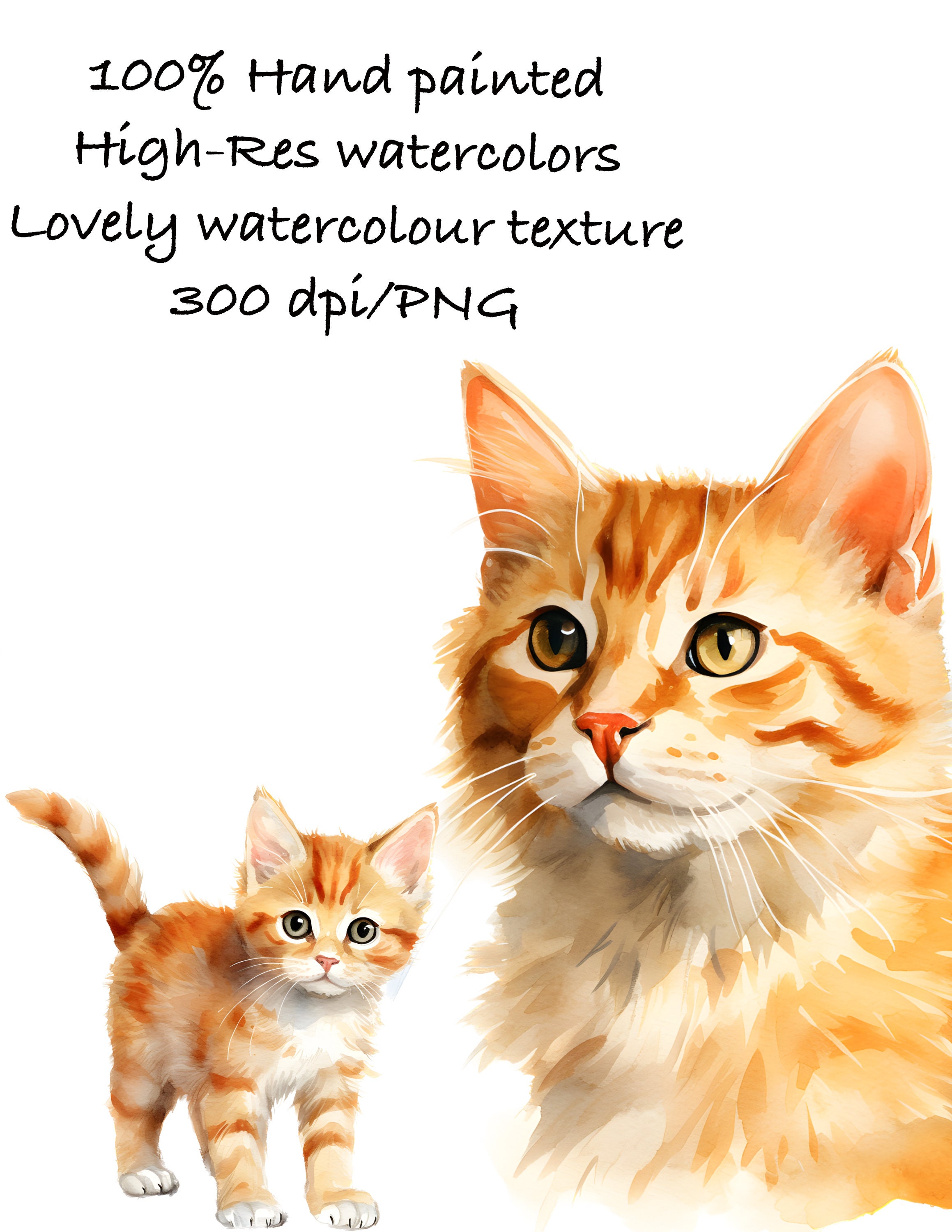 Cats Watercolor Clipart, Domestic Cats Clipart, Set of Digital PNG ...