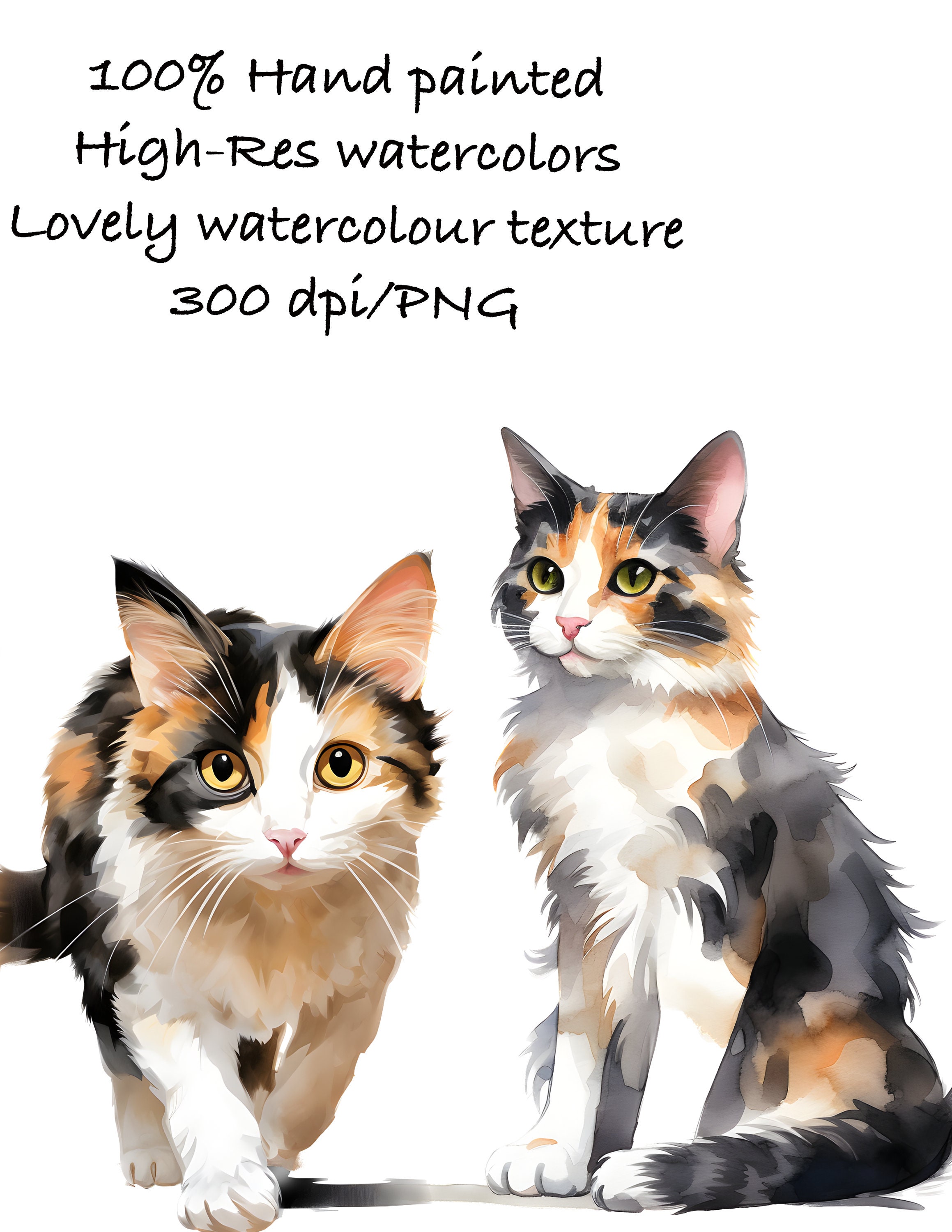 Cats Watercolor Clipart, Domestic Cats Clipart, Set of Digital PNG ...