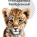 Leopard Watercolor Clipart, Safari Animals Clipart, Set of Digital PNG ...