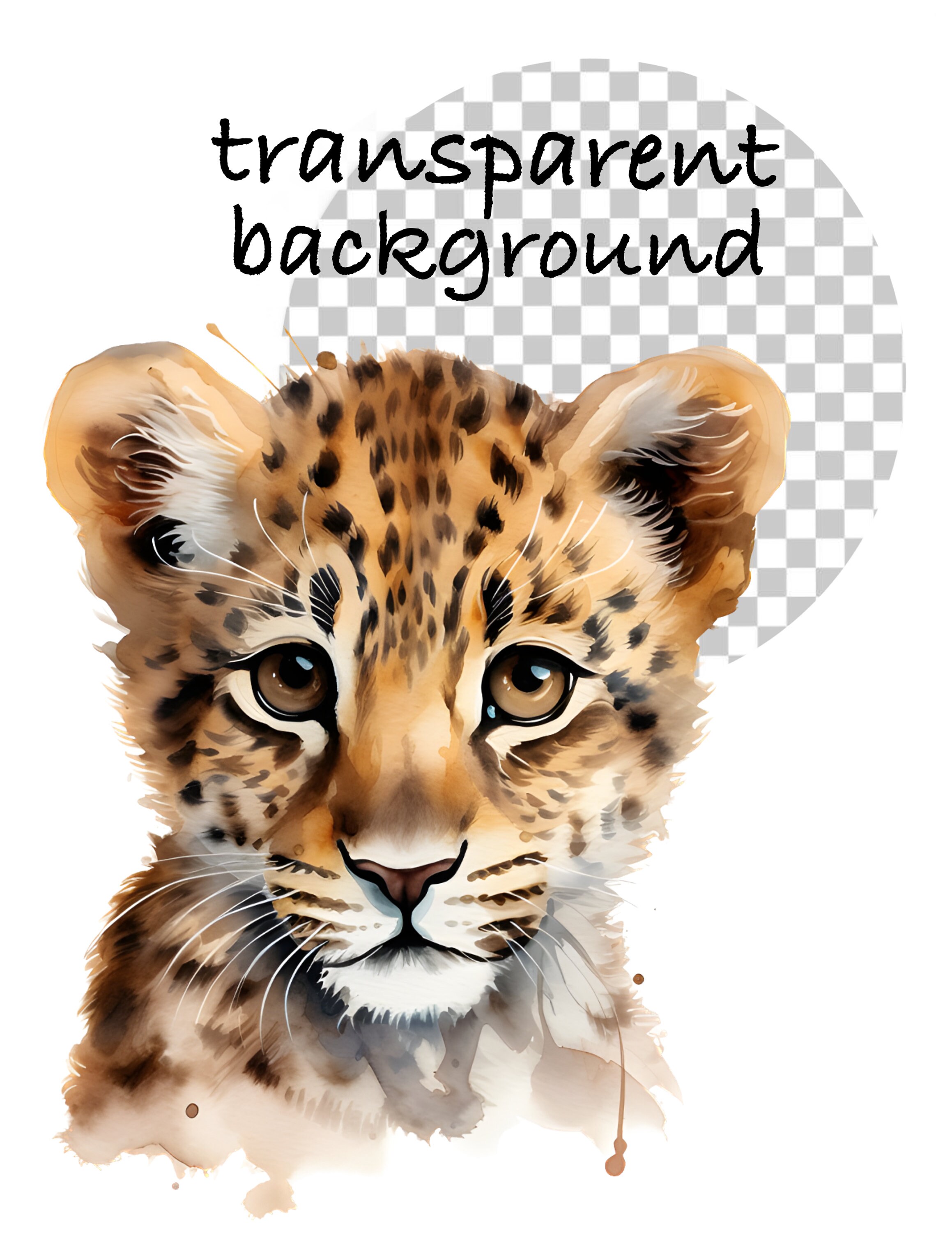 Leopard Watercolor Clipart, Safari Animals Clipart, Set of Digital PNG ...