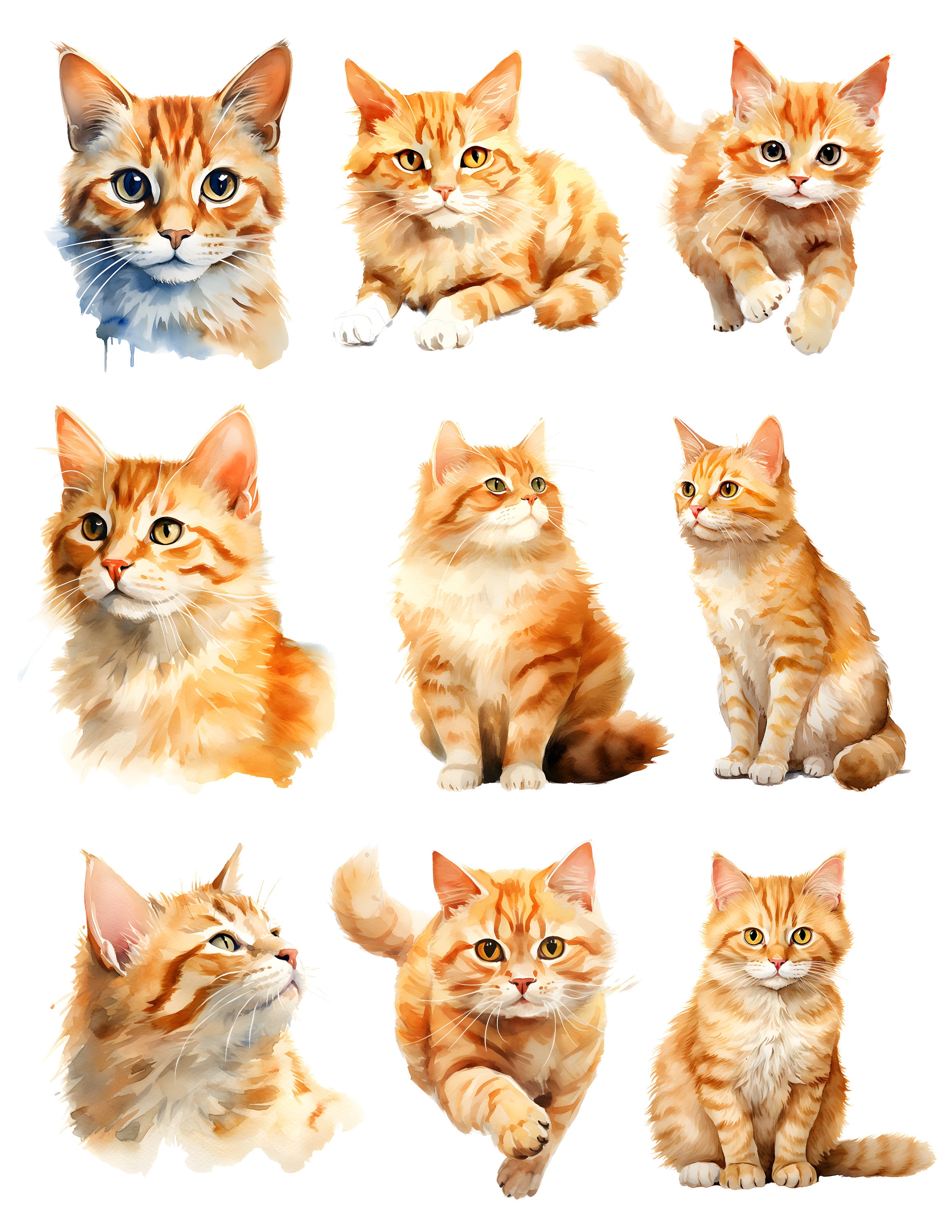 Cats Watercolor Clipart, Domestic Cats Clipart, Set of Digital PNG ...