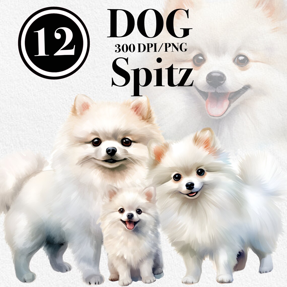 Spitz Dog Watercolor Clipart, Spitz Clipart, Set of Digital PNG ...