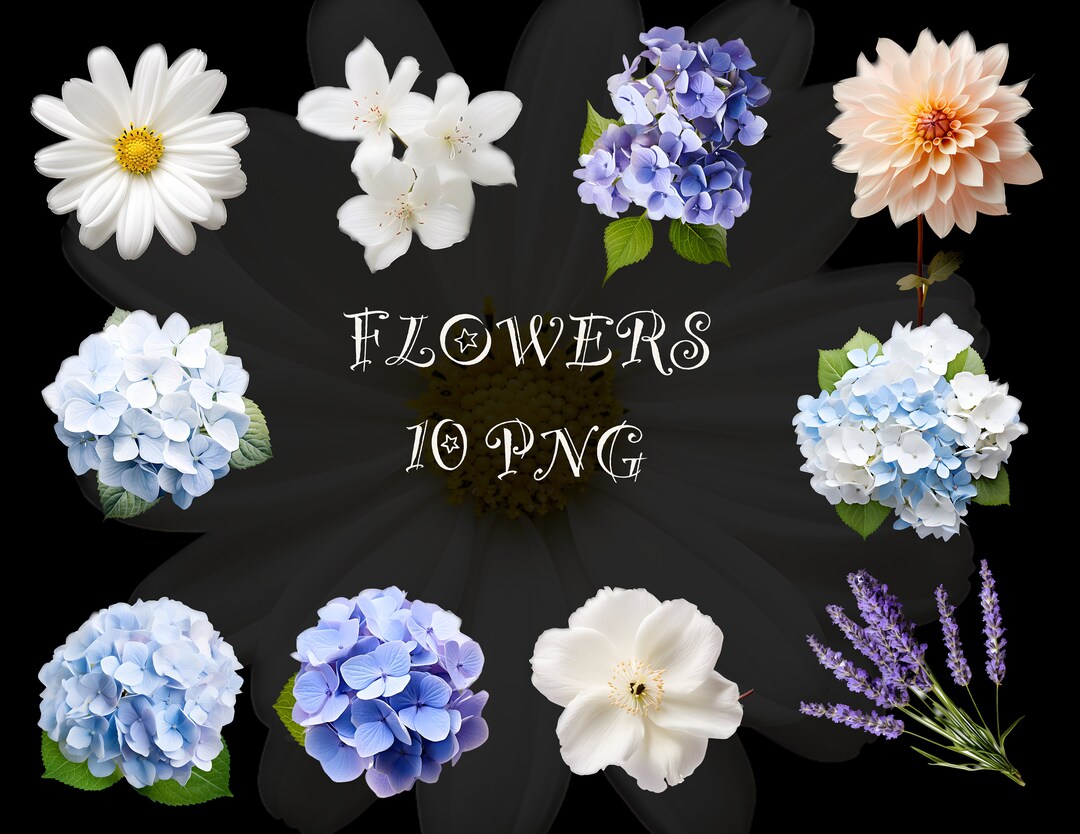 Flowers Watercolor Clipart Flowers Clipart Set of Digital - Etsy