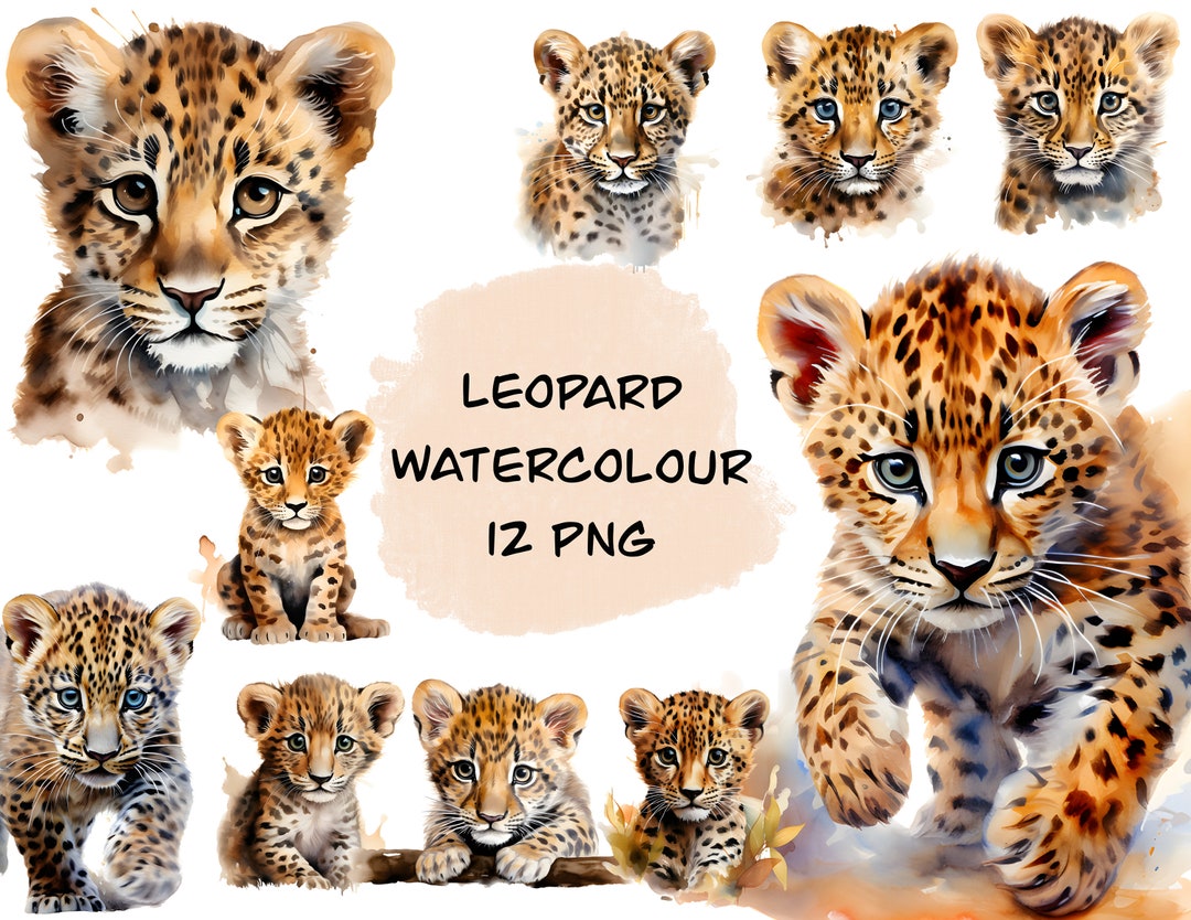 Leopard Watercolor Clipart Safari Animals Clipart Set of - Etsy