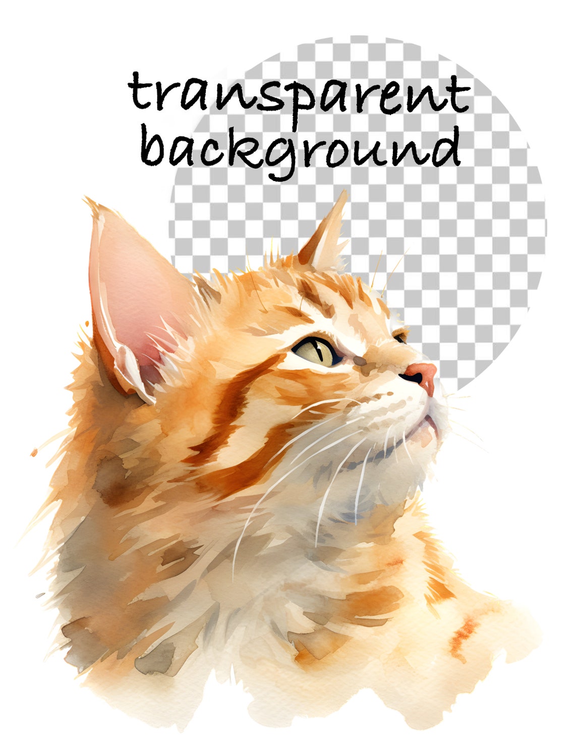 Cats Watercolor Clipart, Domestic Cats Clipart, Set of Digital PNG ...