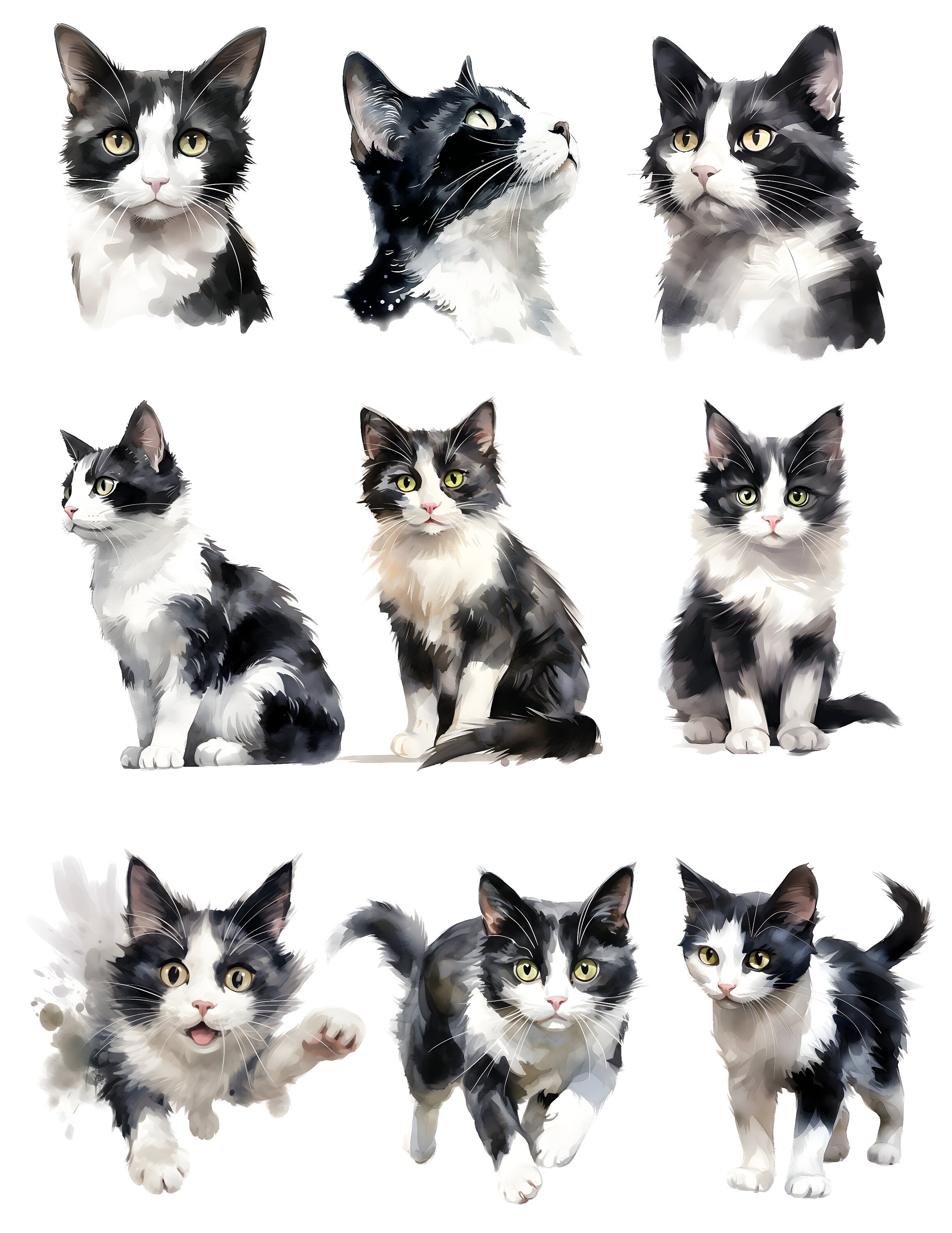 Cats Watercolor Clipart, Domestic Cats Clipart, Set of Digital PNG ...