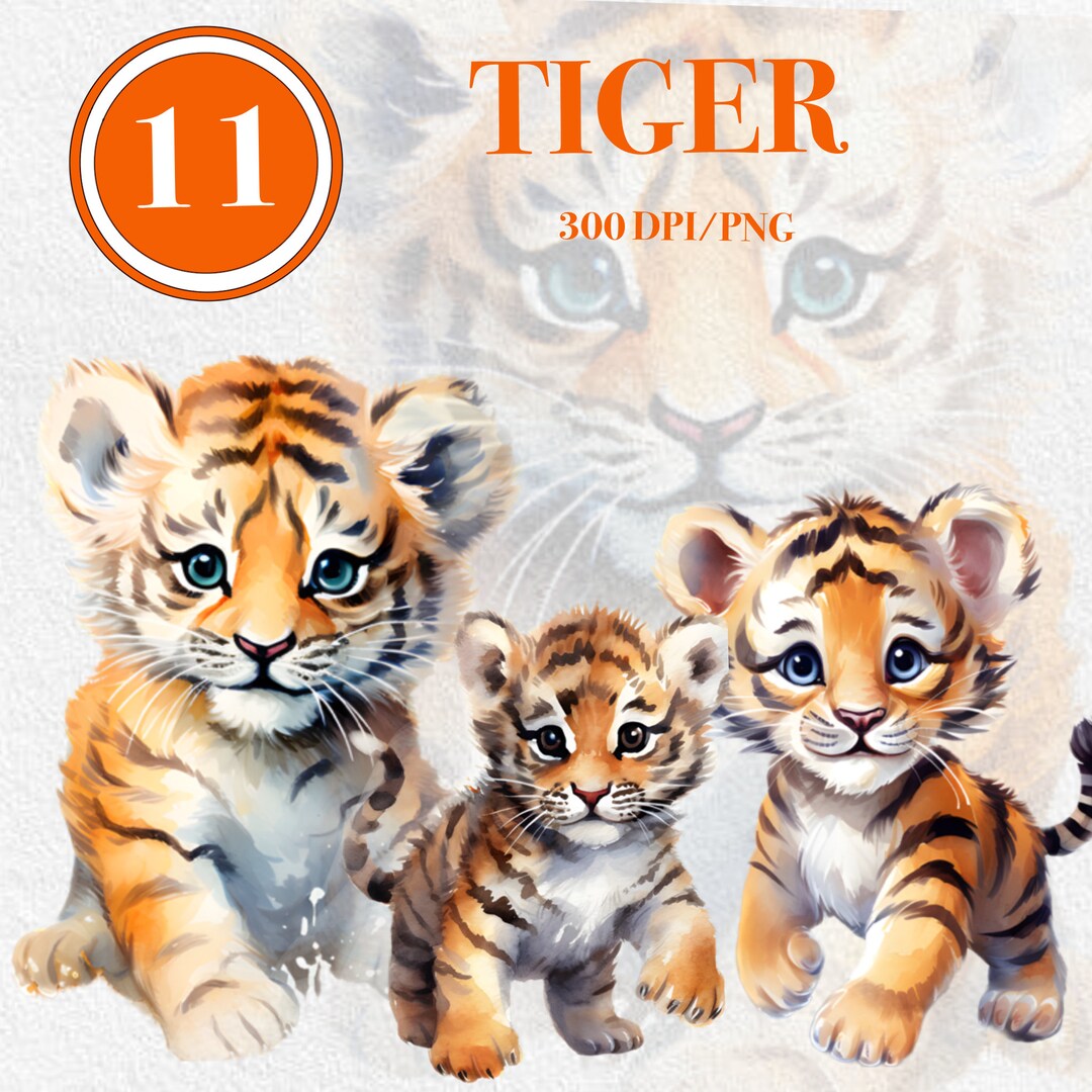 Tigers Watercolor Clipart, Safari Animals Clipart, Set of Digital PNG ...