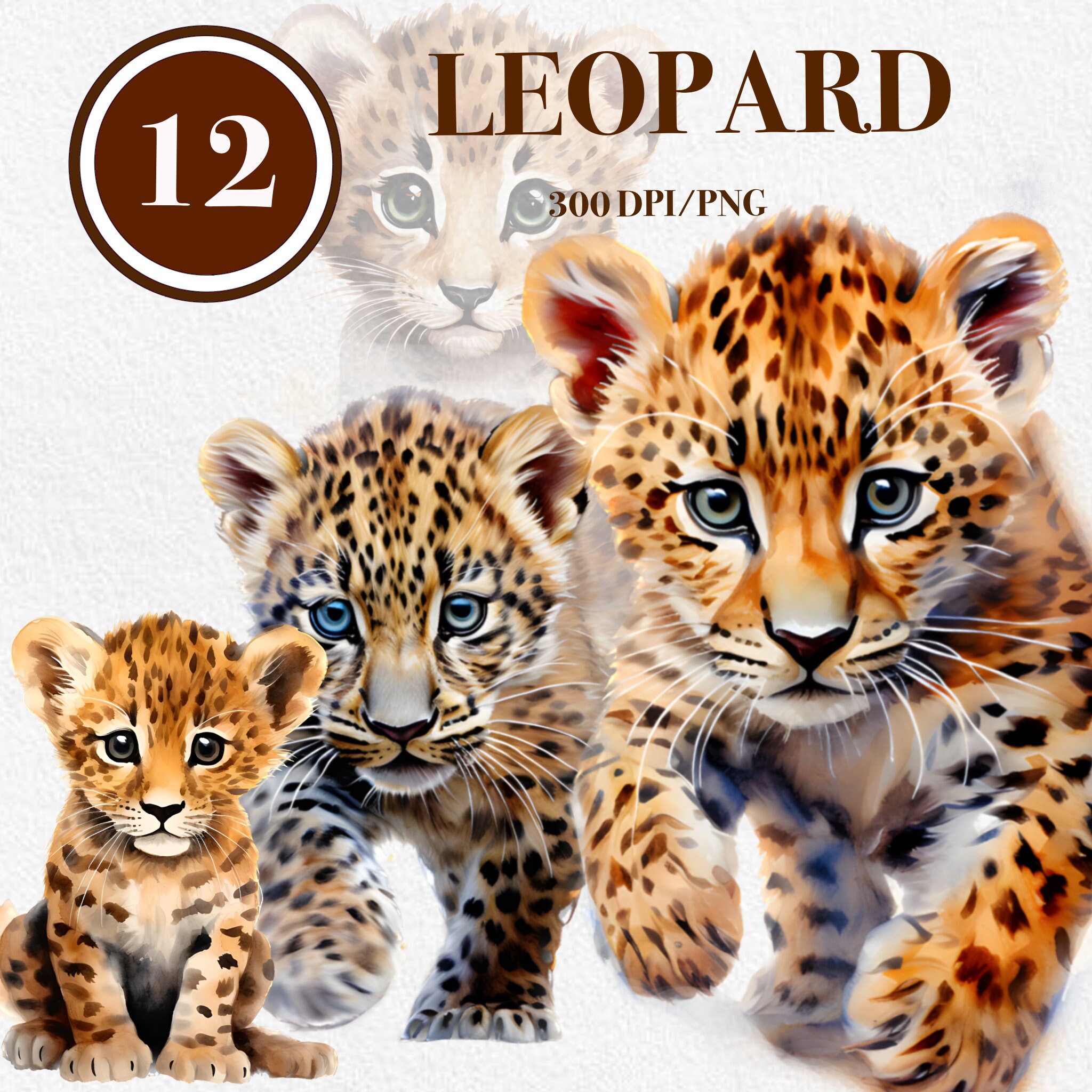 Leopard Watercolor Clipart, Safari Animals Clipart, Set of Digital PNG ...