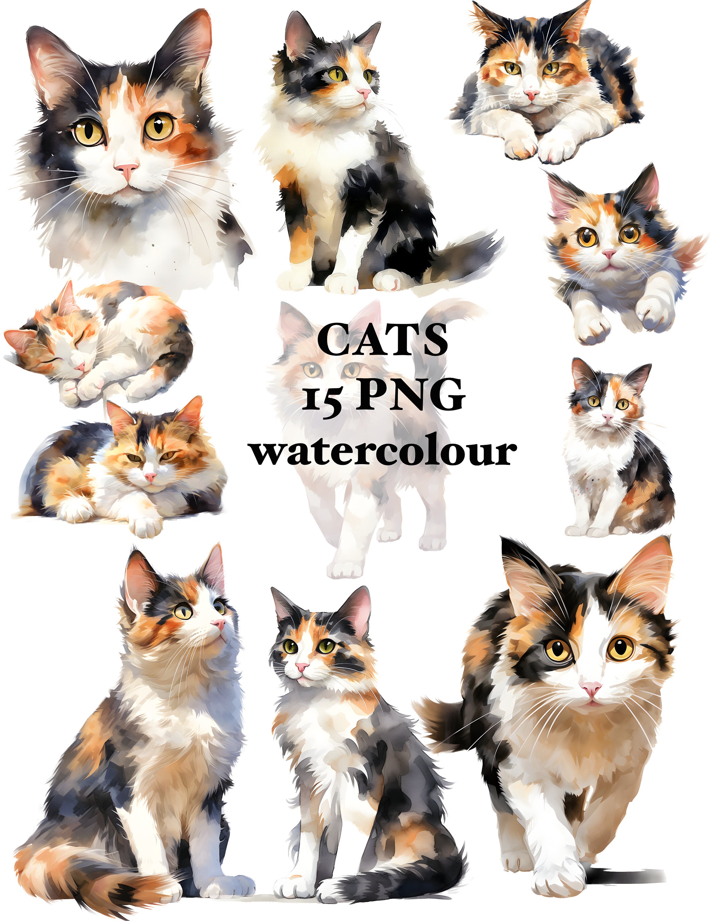 Cats Watercolor Clipart Domestic Cats Clipart Set of Digital - Etsy
