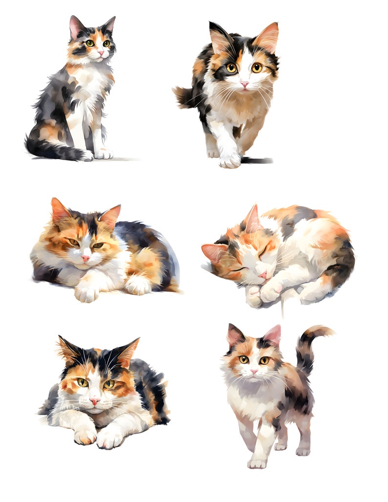 Cats Watercolor Clipart, Domestic Cats Clipart, Set of Digital PNG ...