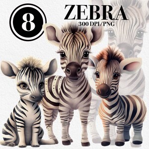 Zebras Watercolor Clipart, Safari Animals Clipart, Set of Digital PNG ...