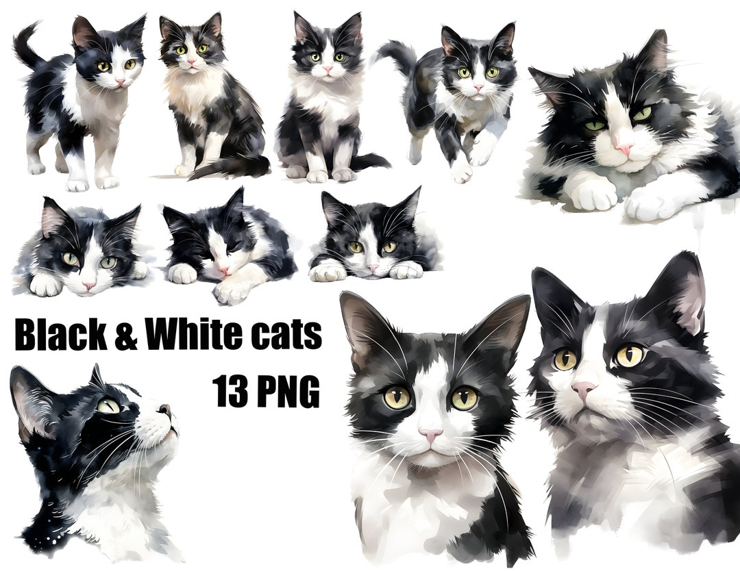 Cats Watercolor Clipart Domestic Cats Clipart Set of Digital - Etsy
