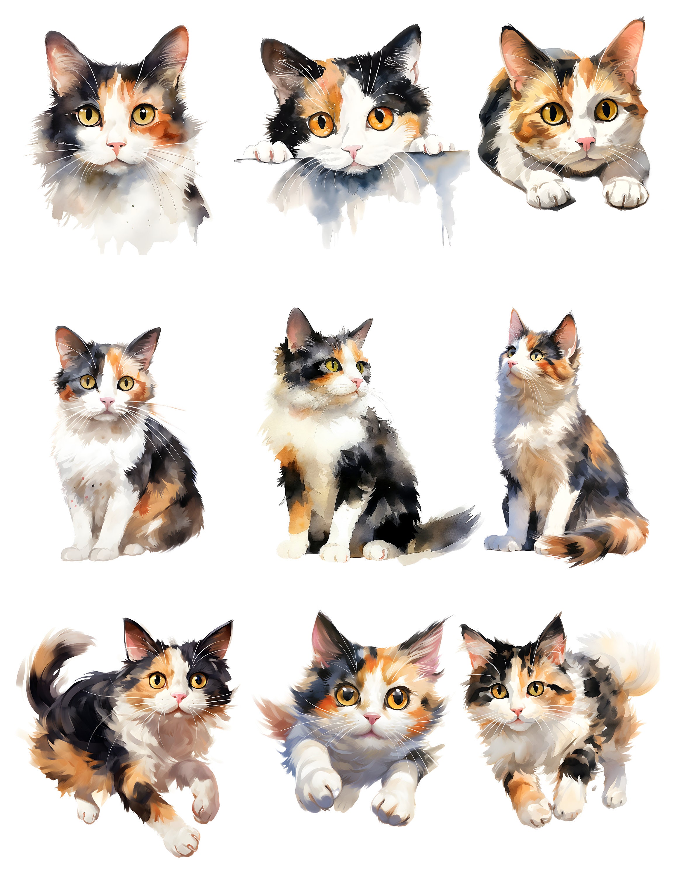 Cats Watercolor Clipart, Domestic Cats Clipart, Set of Digital PNG ...