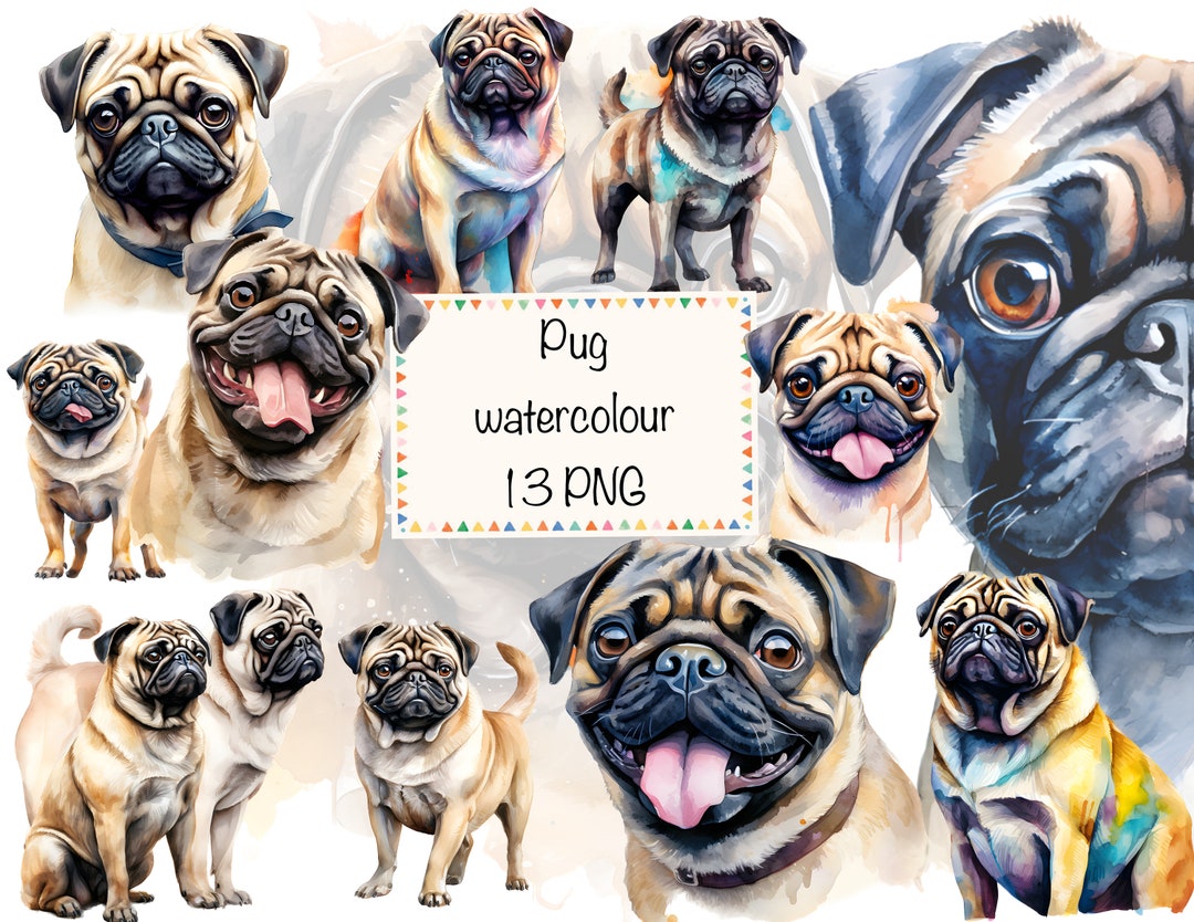 Pug Watercolor Clipart Pug-dog Clipart Set of Digital PNG - Etsy