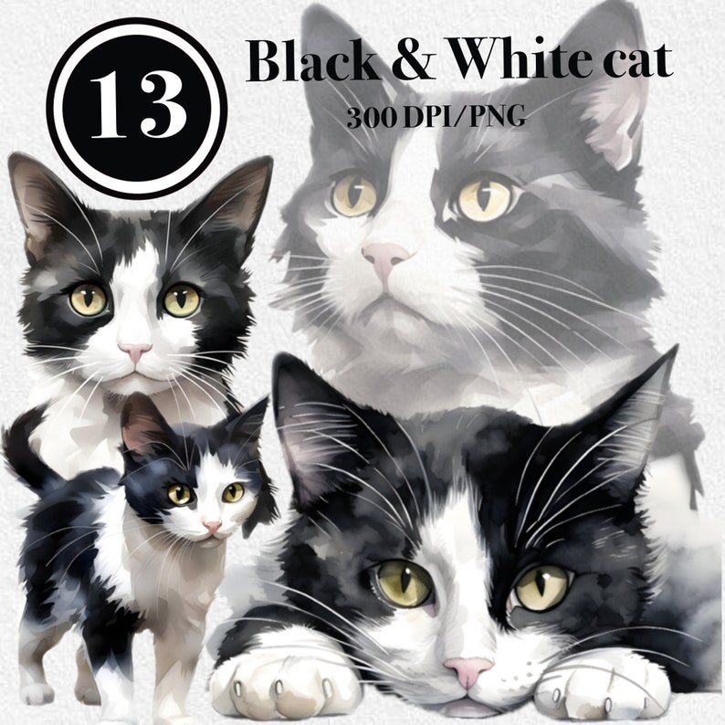 Cats Watercolor Clipart, Domestic Cats Clipart, Set of Digital PNG ...