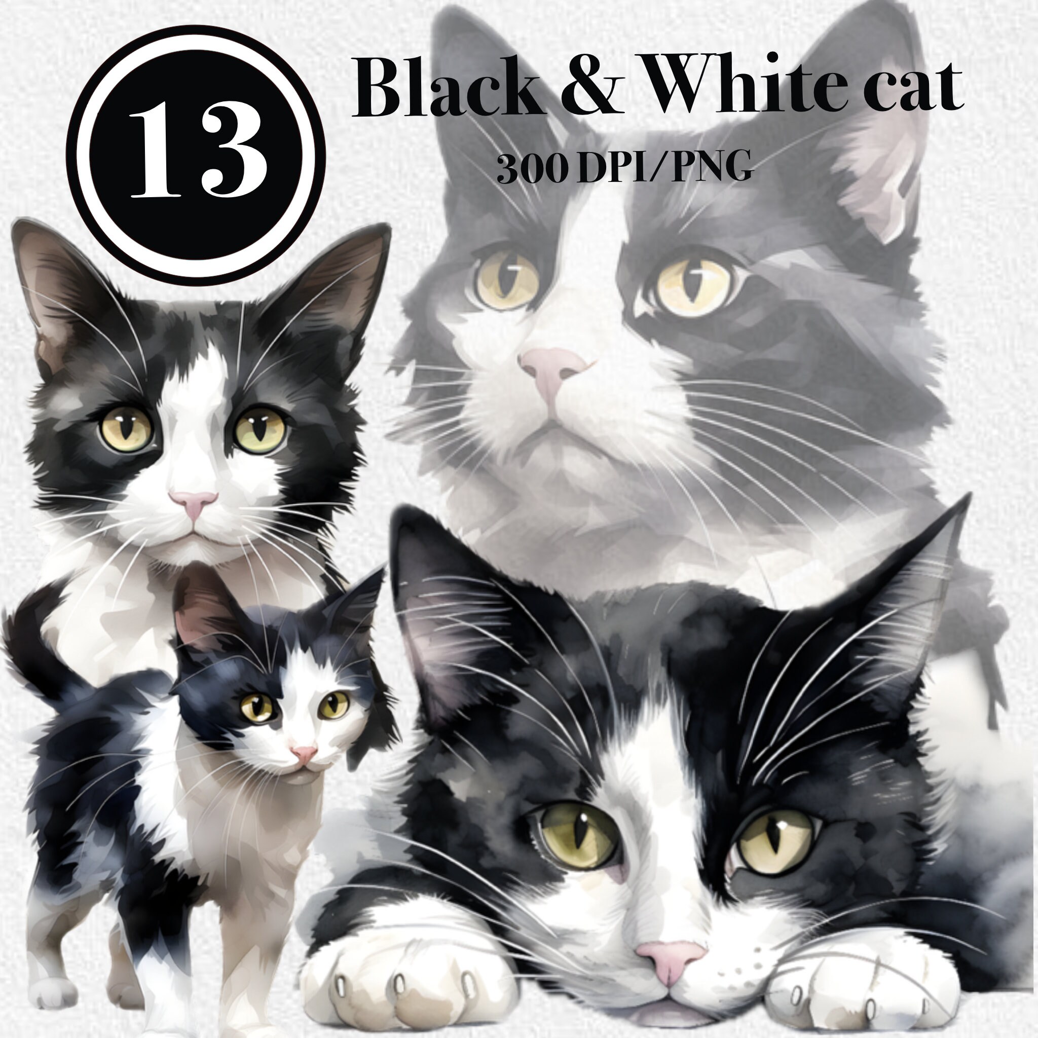 Cats Watercolor Clipart, Domestic Cats Clipart, Set of Digital PNG ...