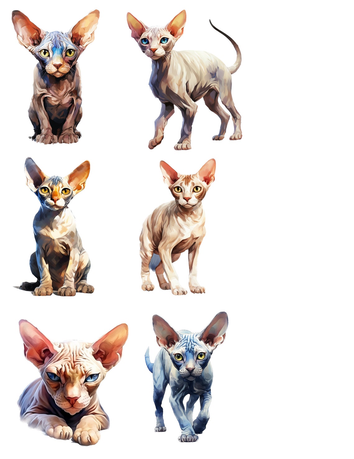 Cats Watercolor Clipart, Domestic Cats Clipart, Set of Digital PNG ...