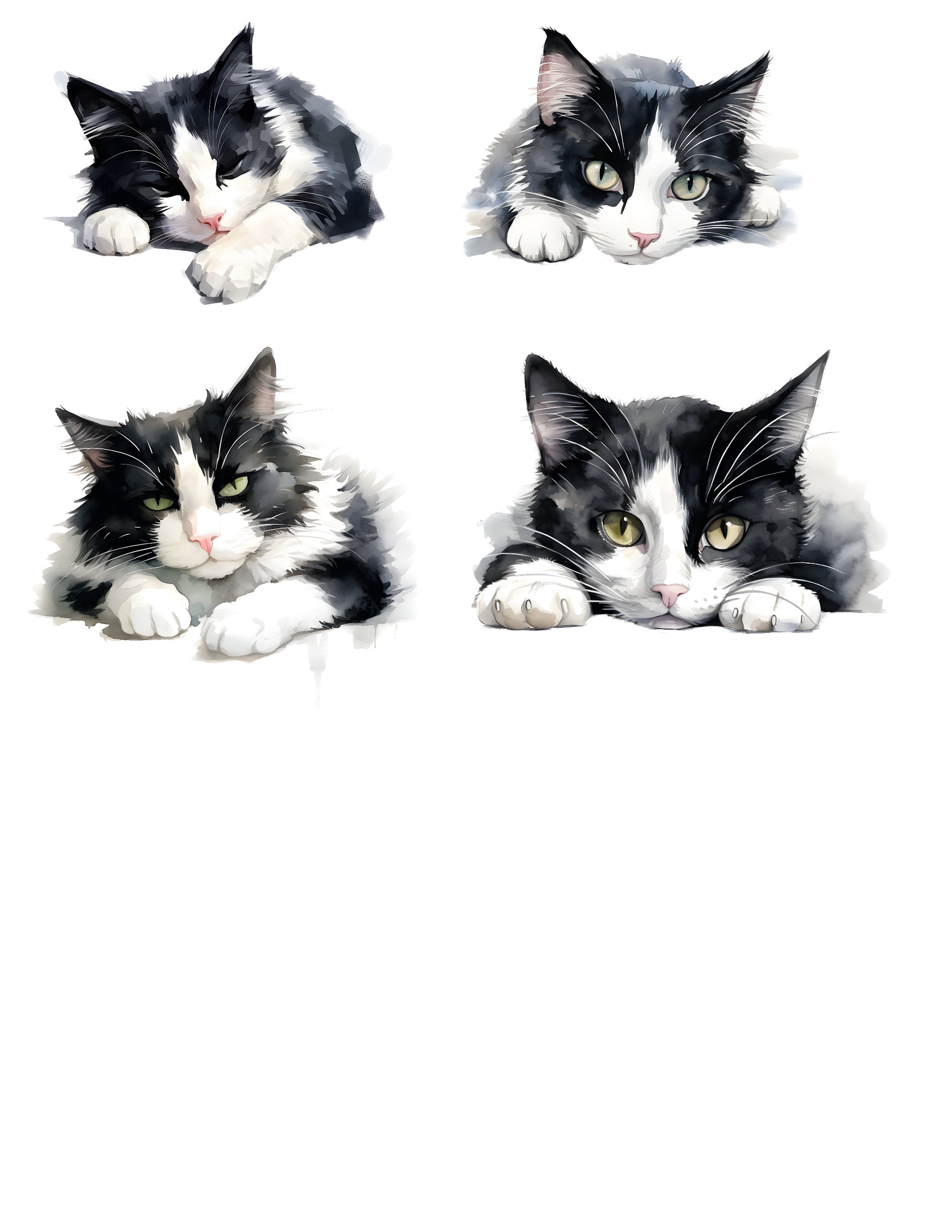 Cats Watercolor Clipart, Domestic Cats Clipart, Set of Digital PNG ...