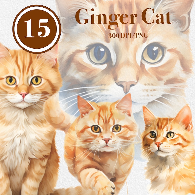 Cats Watercolor Clipart, Domestic Cats Clipart, Set of Digital PNG ...