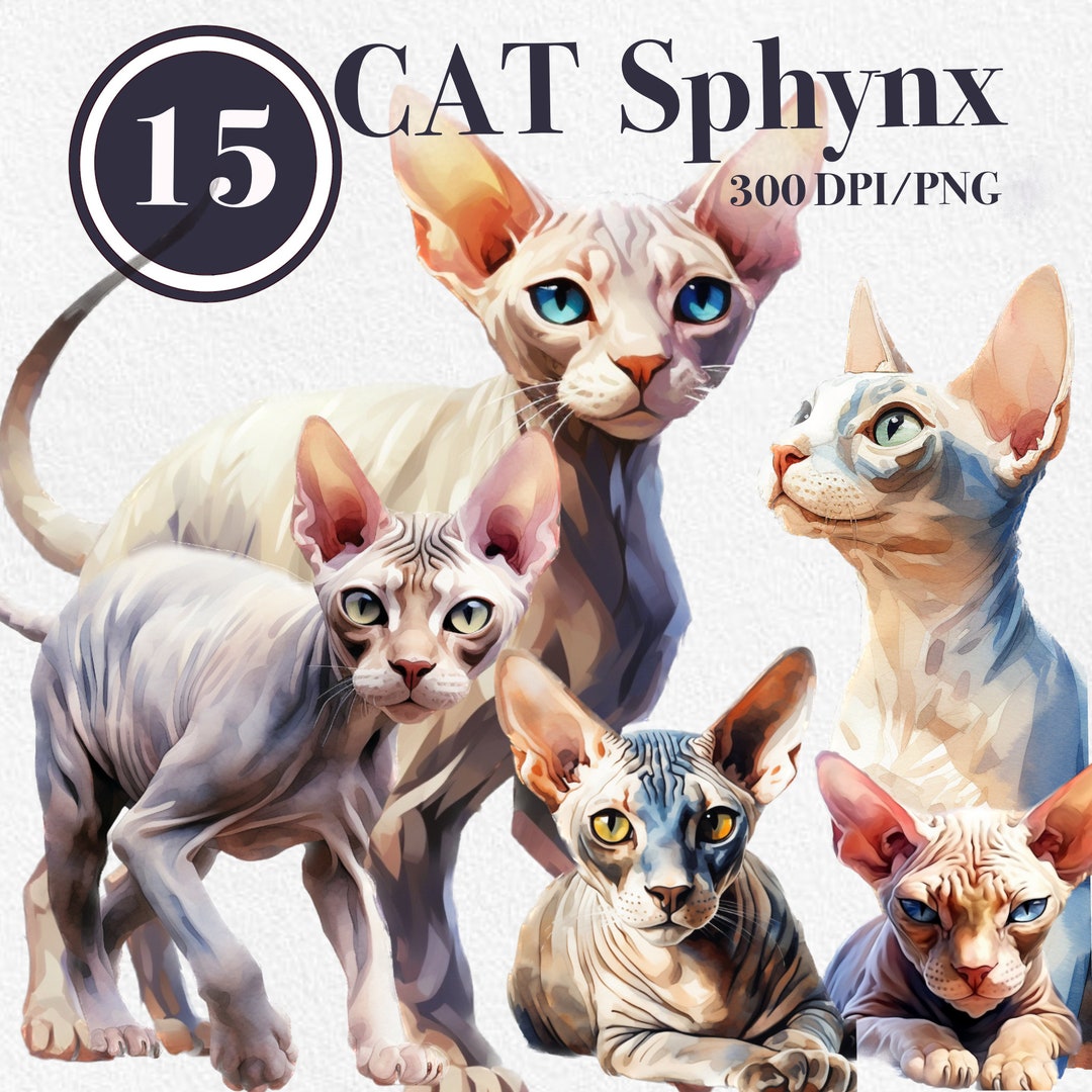 Cats Watercolor Clipart, Domestic Cats Clipart, Set of Digital PNG ...
