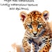 Leopard Watercolor Clipart, Safari Animals Clipart, Set of Digital PNG ...