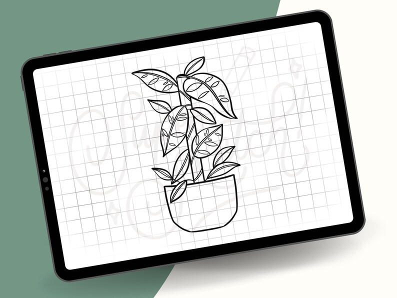 14 Potted Plant Procreate Stamps | Plant Brush | Boho Procreate Stamps ...